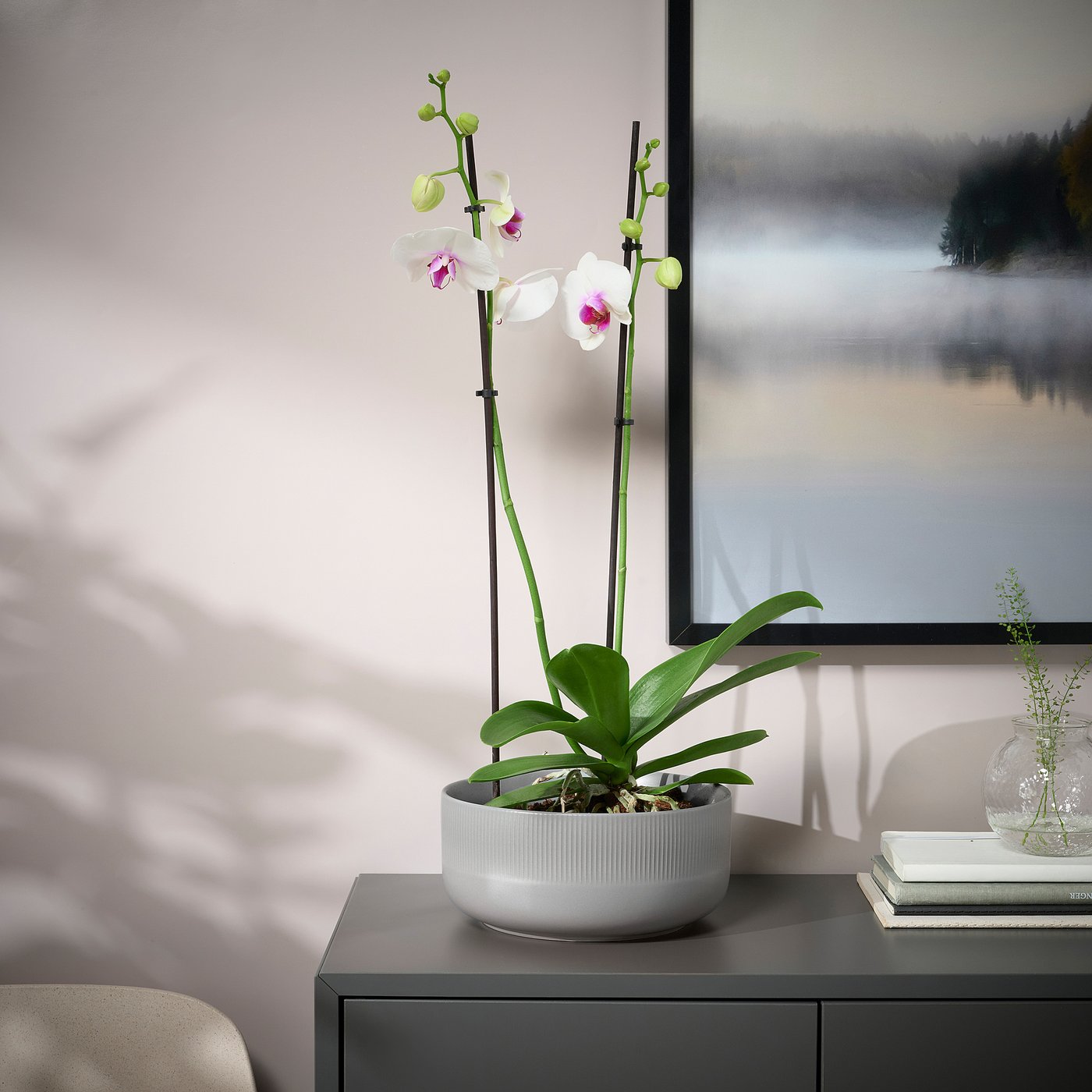 GRADVIS planter in/outdoor grey - IKEA