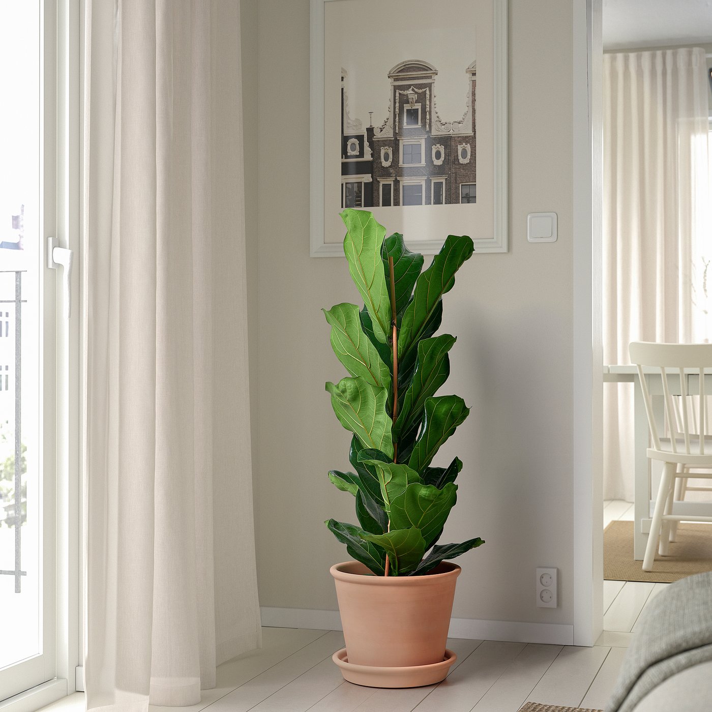 MUSKOTBLOMMA plant pot with saucer in/outdoor terracotta - IKEA